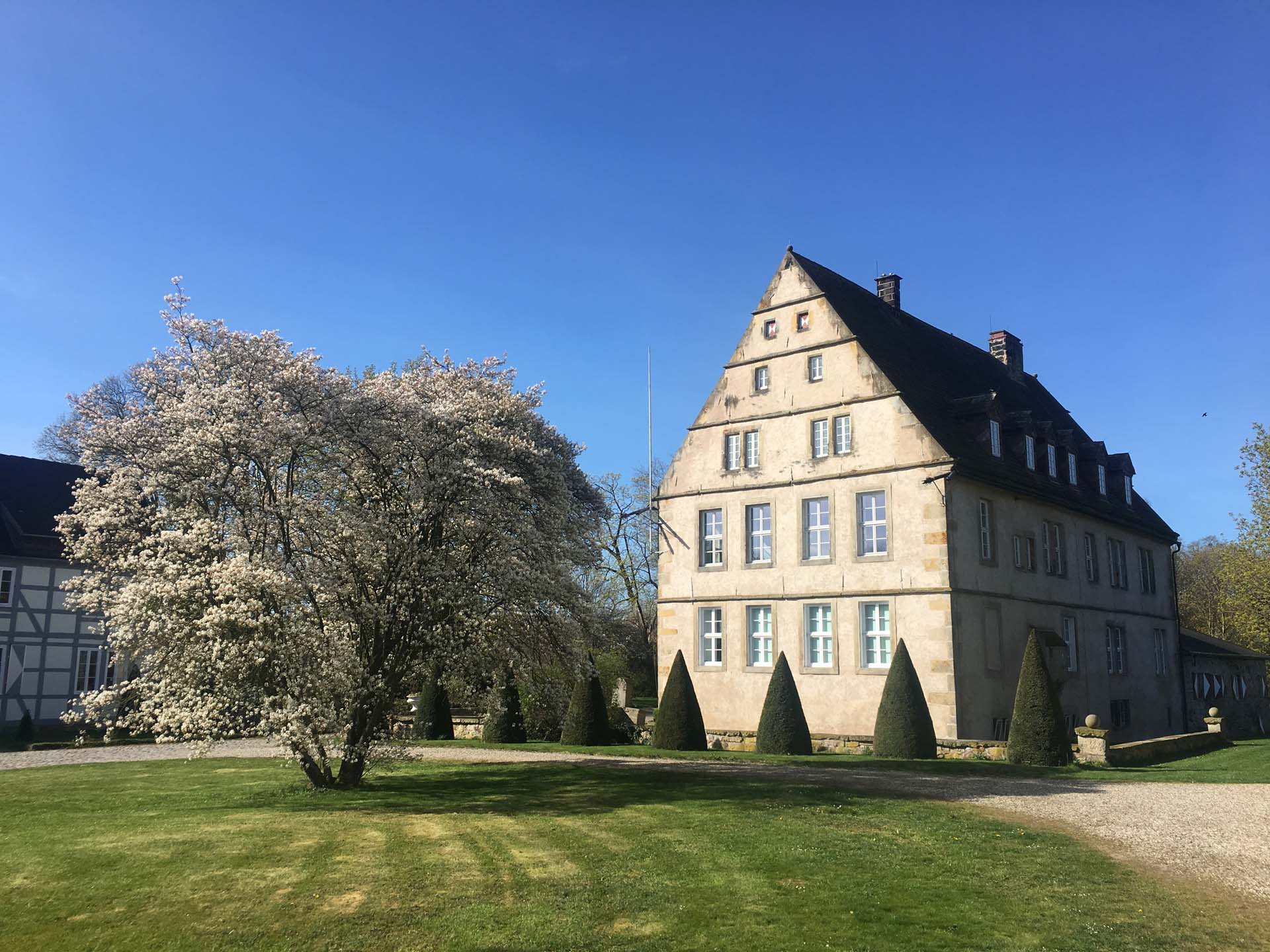 Impressionen | Schloss von Hammerstein